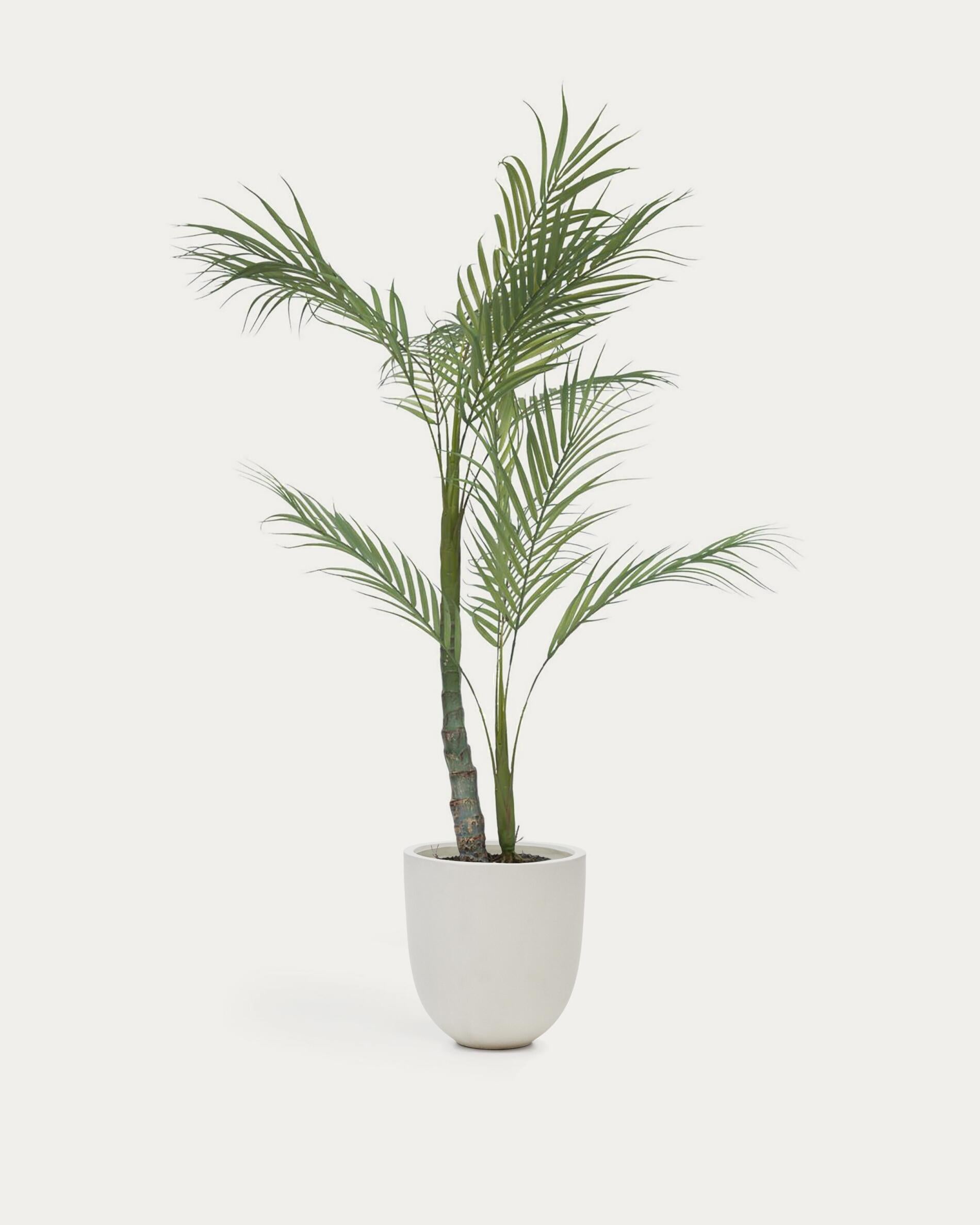 Artificial Palm Tree with black plantpot 70 cm – Kave Home Mauritius